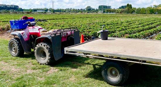 Farming Campaign - Trader Interactive