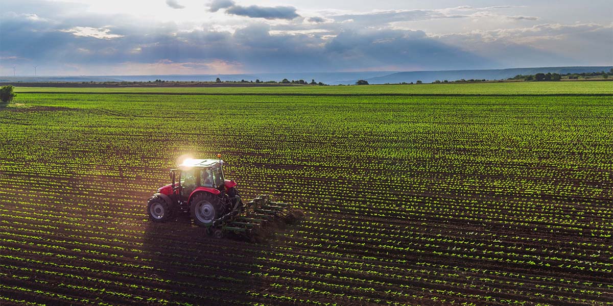 Farming Campaign - Trader Interactive